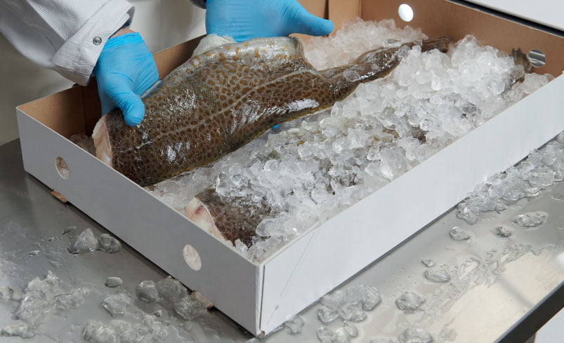 Sustainable Fish Packaging Solutions- Mariner Packaging